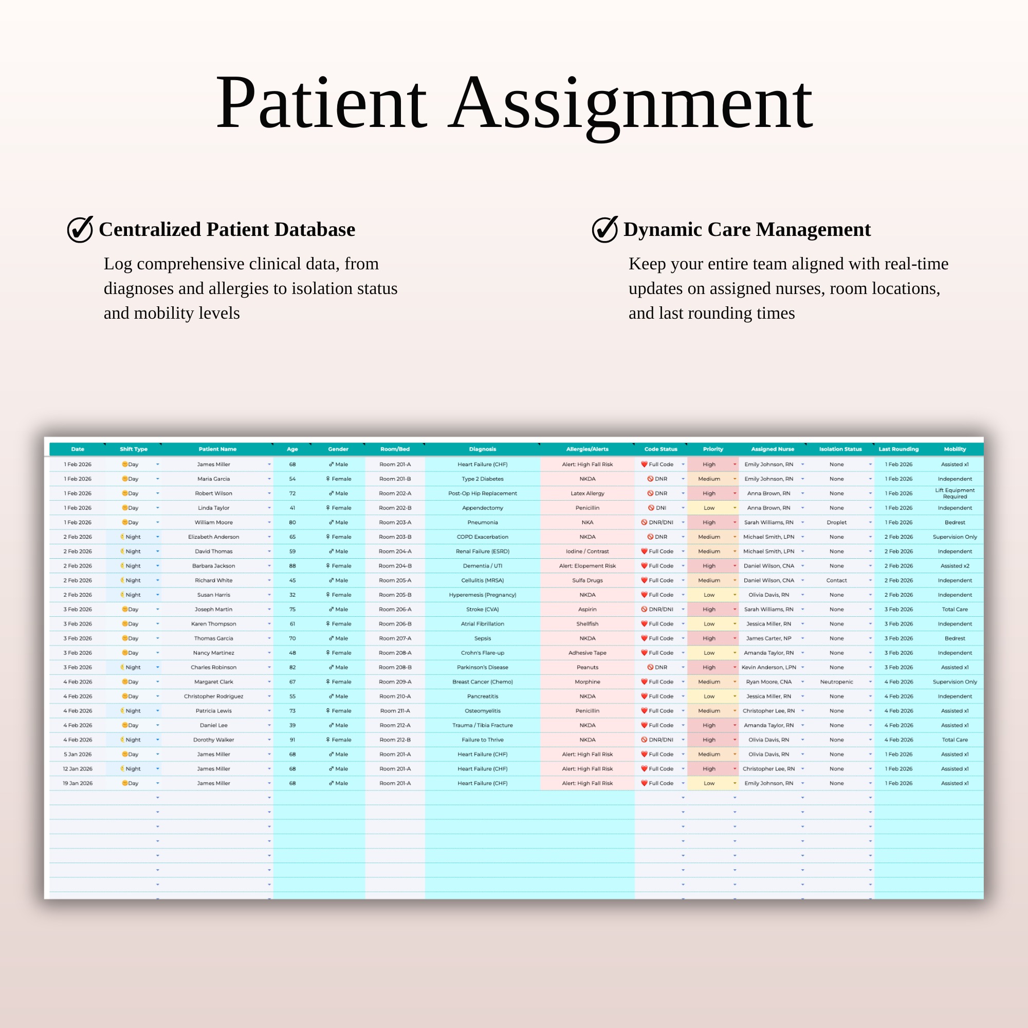 Nursing Shift & Patient Tracker – Google Sheets & Excel Template ...