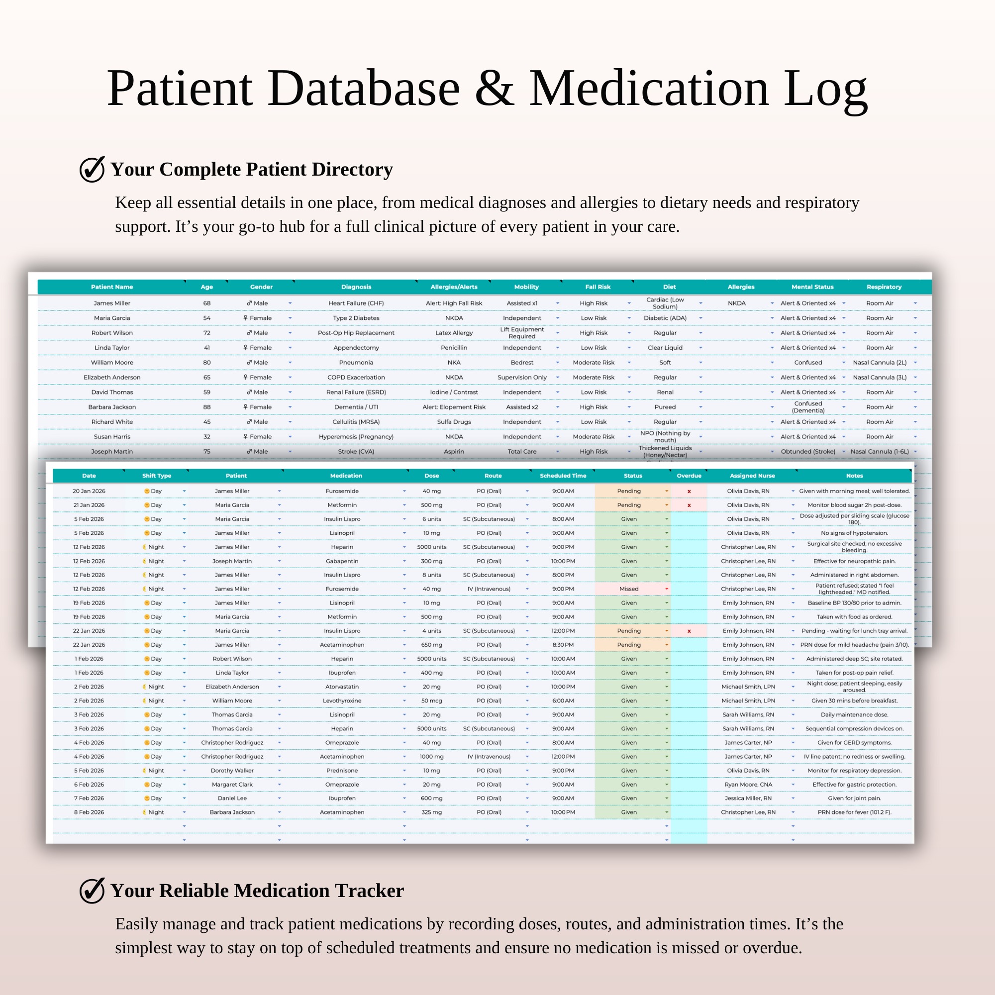 Nursing Shift & Patient Tracker – Google Sheets & Excel Template ...